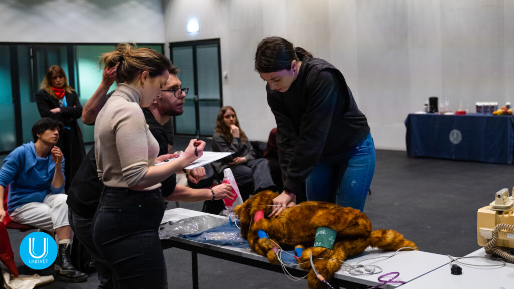 Recover CPR - Rescuer Certification - Unisvet