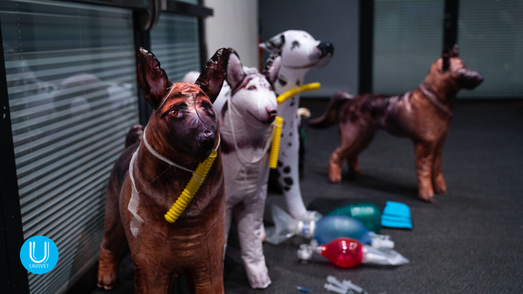 RECOVER CPR – BLS and ALS Rescuer Certification – 2024 – Unisvet