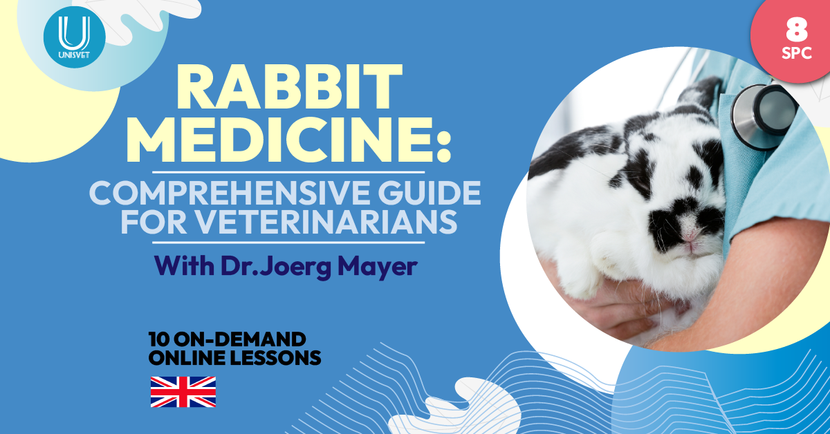 Rabbit Medicine with Dr. Mayer - Unisvet